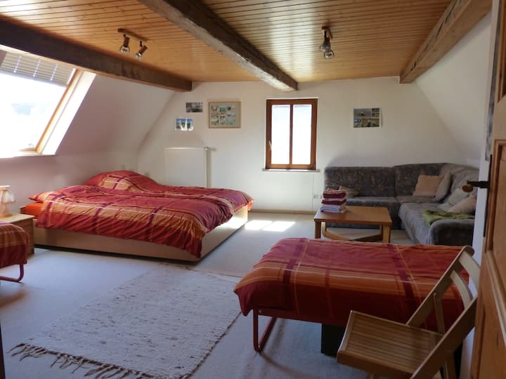 Ferme Bleue In Schleithal/elsass - Wissembourg
