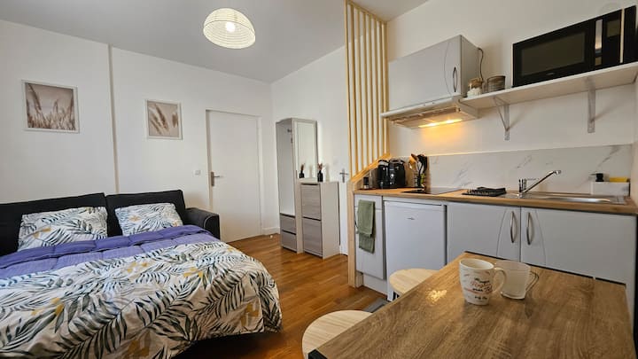 Studio 1 Du Cercle L - Limoges