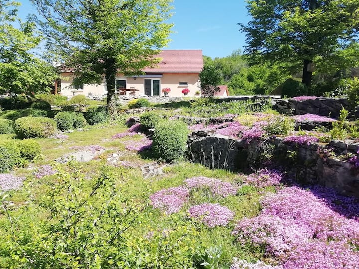 Maison - Saint-Claude