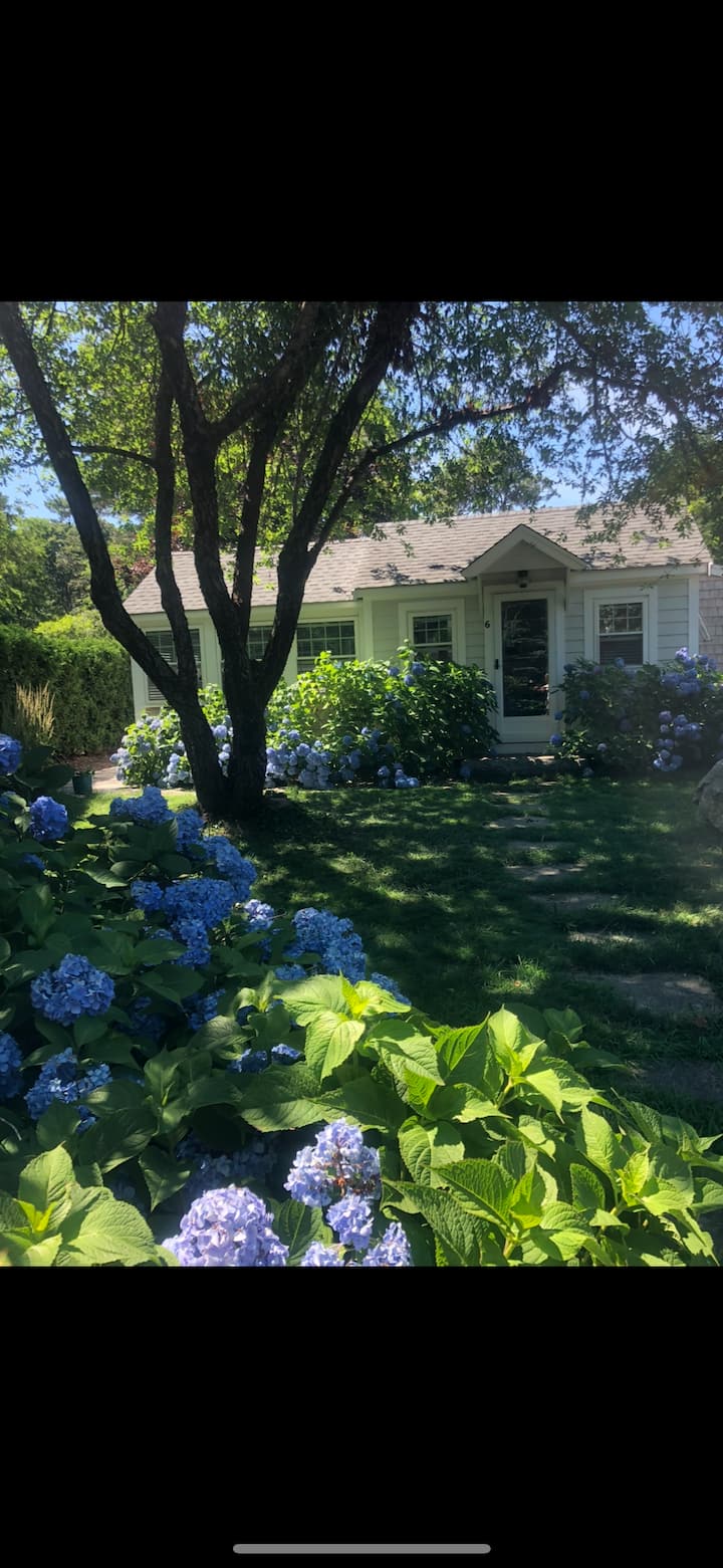 Cape Escape! - Eastham, MA