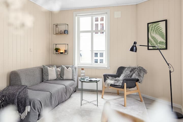 Charming Townhouse - Walk Everywhere! - Bergen