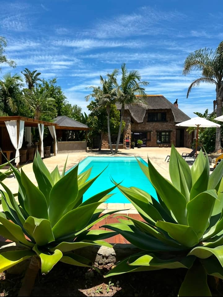 Blombos Gem - Jeffreys Bay