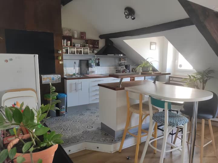 Appartement Proche Gare / Centre - Nantes