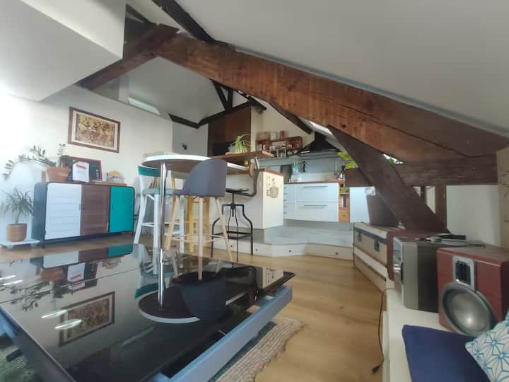 Appartement Proche Gare / Centre - Basse-Goulaine
