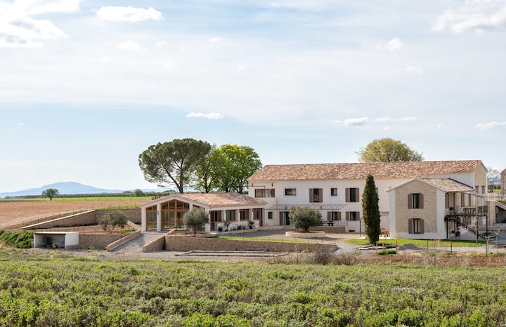 Gîte à La Campagne - Vigne - Valensole