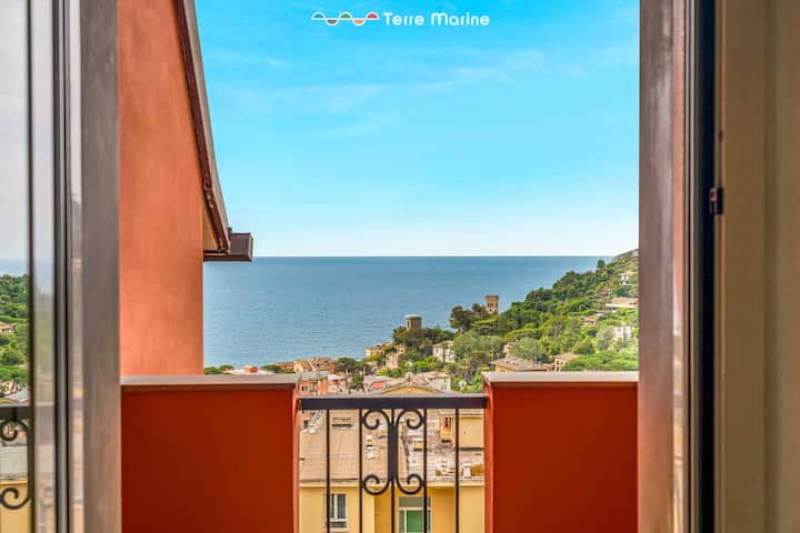 Ulivi E Salsedine, Terre Marine - Monterosso al Mare