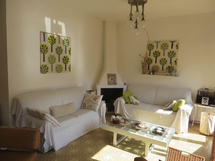 Alice Nel Mare Delle Meraviglie - Messina