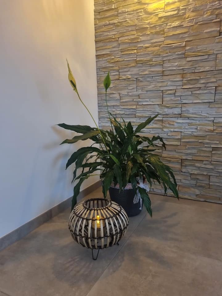 Wellness Ferienhaus - Mechernich