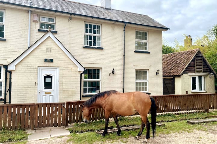 Tamworth Sty @ The Pigs' Pantry - Brockenhurst