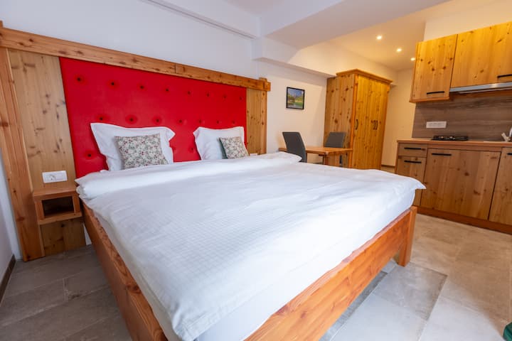 Apartments Viktor | Studio Apartment 3 (2+0) - Tarvisio