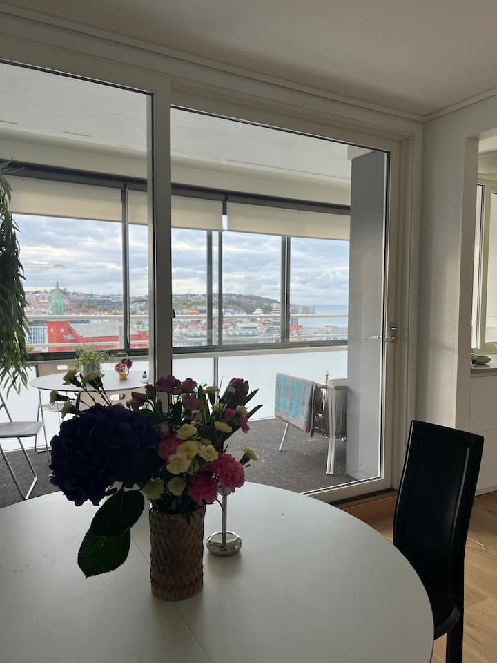 Stavanger City Panorama View - Stavanger