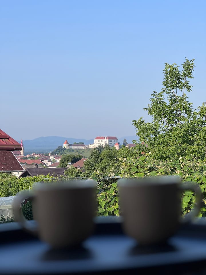 Rezidenca Vista Lux Ptuj - Ptuj