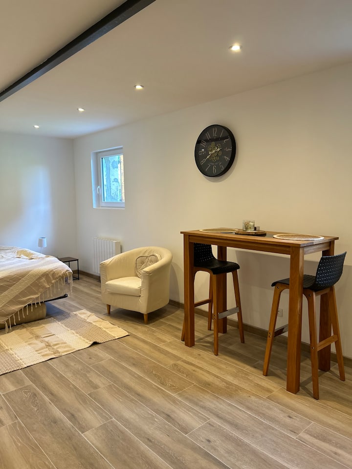 Studio Cozy Avec Jardin - Condrieu
