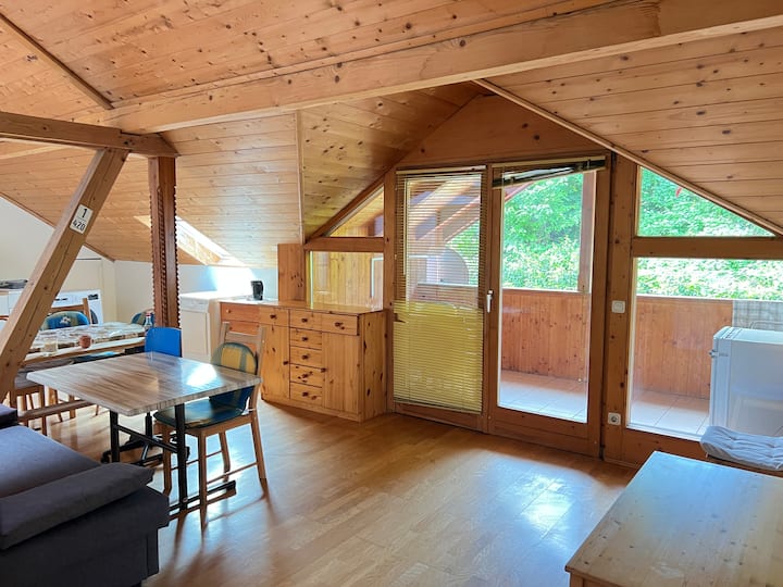 Geräumige Wohnung In Seenähe - Attersee