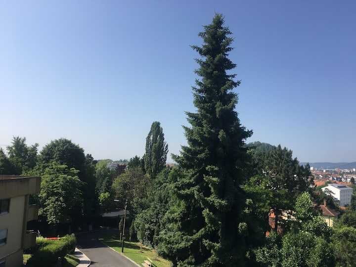 Einzimmerwohnung - Graz