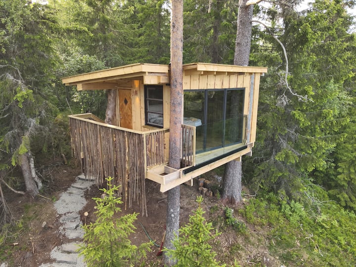 Vidsyn Midjås- Ravn - Norwegen