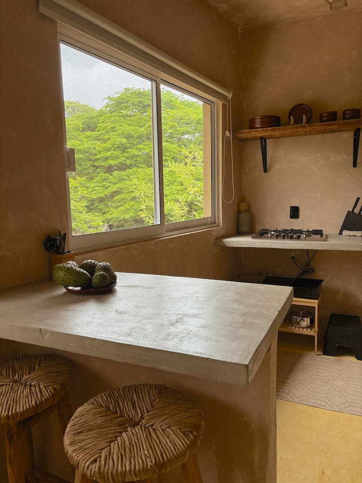 ÁNimo Perro Boutique Hotel: Studio Tonaya - Sayulita