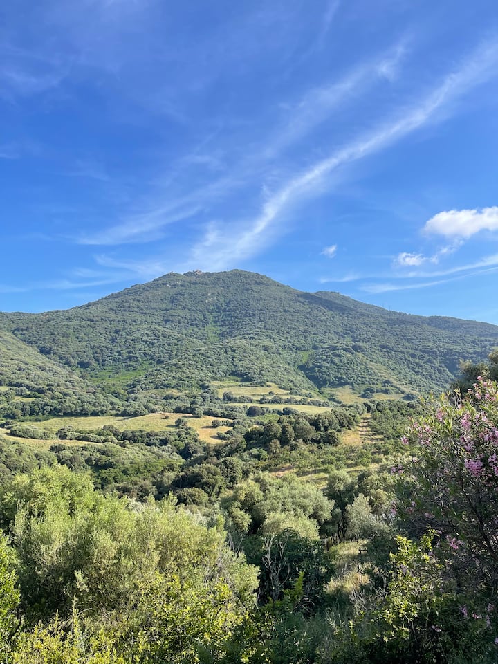 Maison De Campagne 8 Pers - Corsica