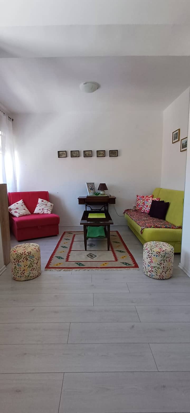 Heart Of Sarajevo Centar - Sarajevo