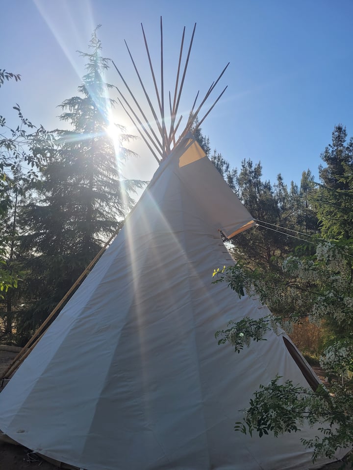 Glamping Tipi On Retreat Grounds With Pool/hot Tub - Paso Robles, CA