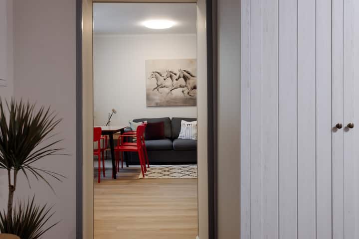 3-bedrooms And 2-living Rooms - Riga