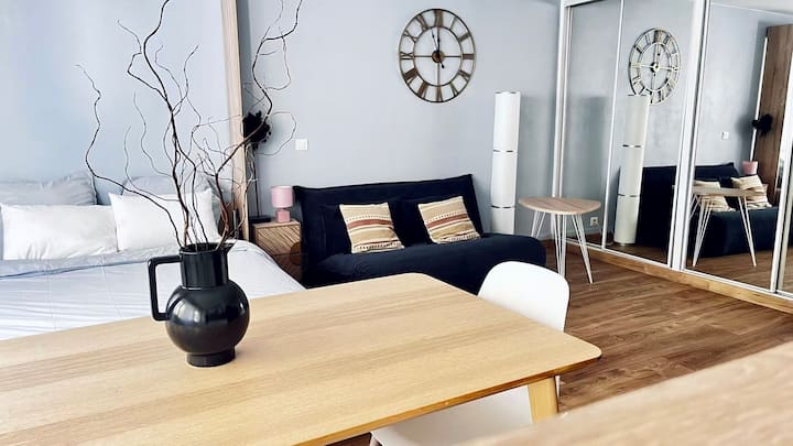 Charming Paris Flat - 3min To Buttes-chaumont Park - ibis Styles Paris Bercy