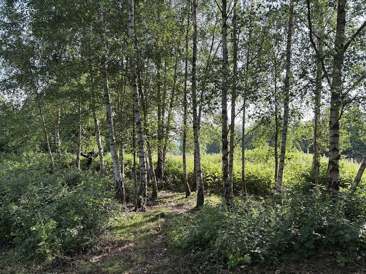 Basic Nature Wild Camping Near Hever Castle - Kent