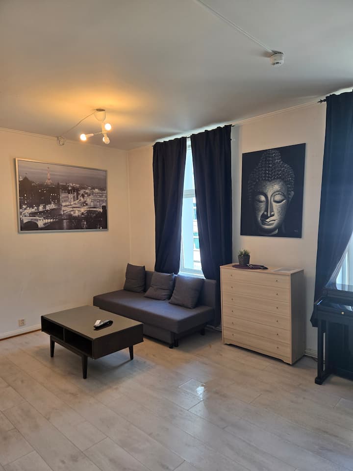 Ca17-central-downtown,cosy,near Everything-2 Rooms - Oslo