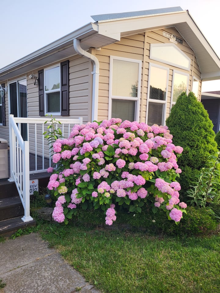 Cozy Cottage At Sherkston Shores - Crystal Beach