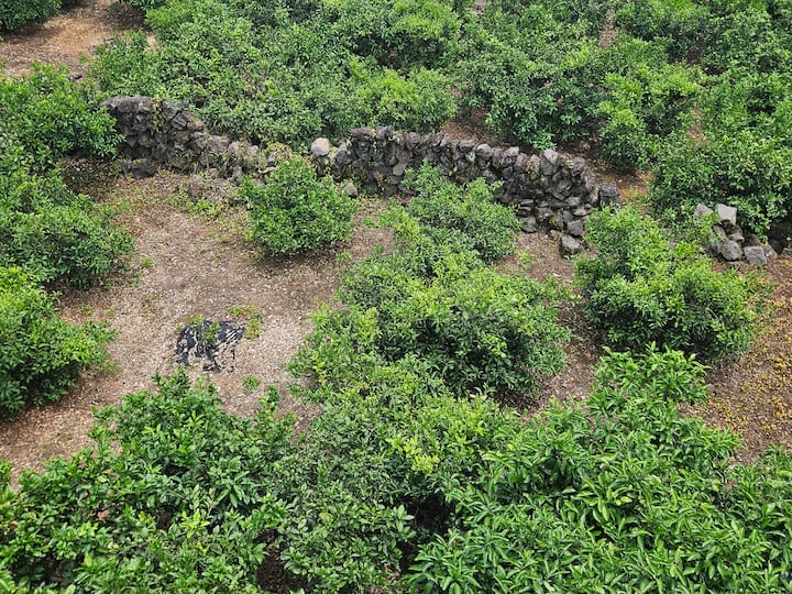 모루 - Jeju-do