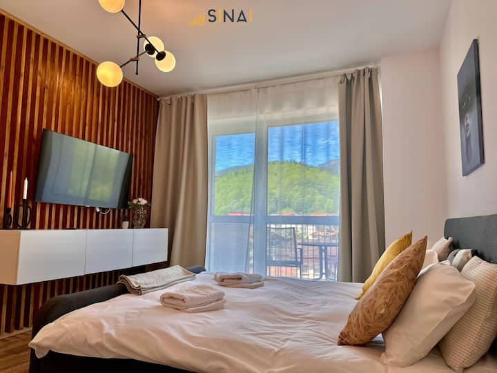 Studio With Mountain View Ii By Sinai Aph - Sinaia