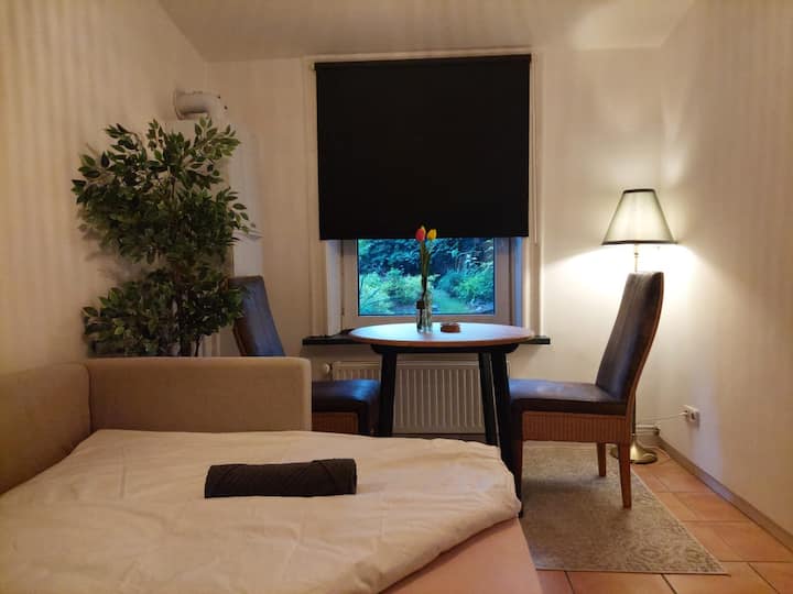 Privates Innenhof Zimmer, Schlafcouch, Zentral - Hambourg