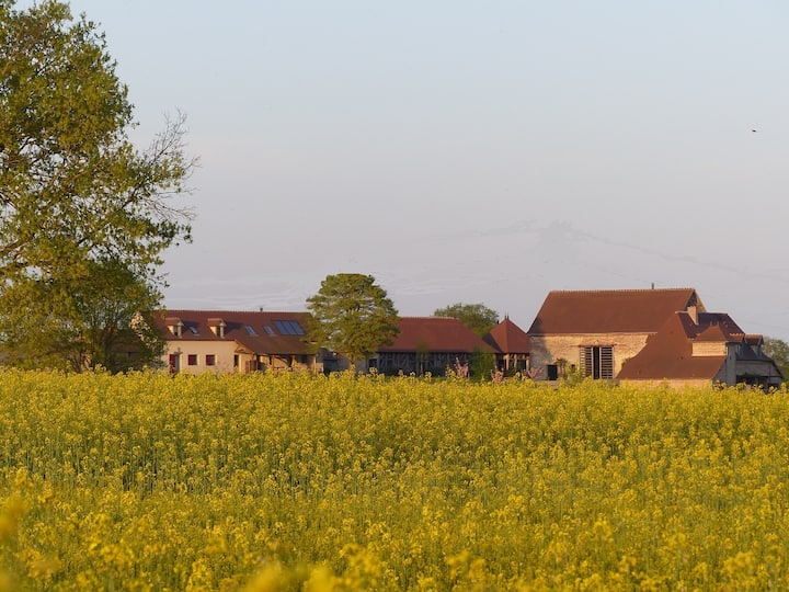 Gîte Le Cerf Ailé - Moulins