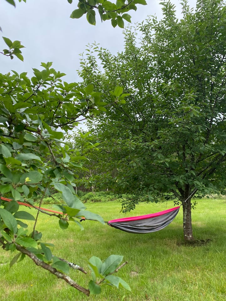 Forest House With Garden At Ajurzanx/morcenx - Morcenx