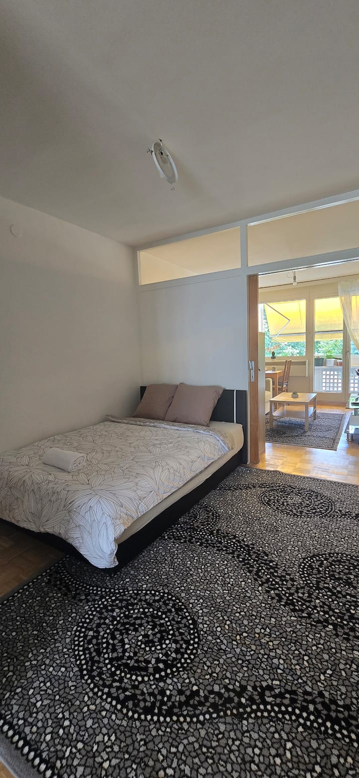 Apartamento En Ginebra, Suiza. - Geneva