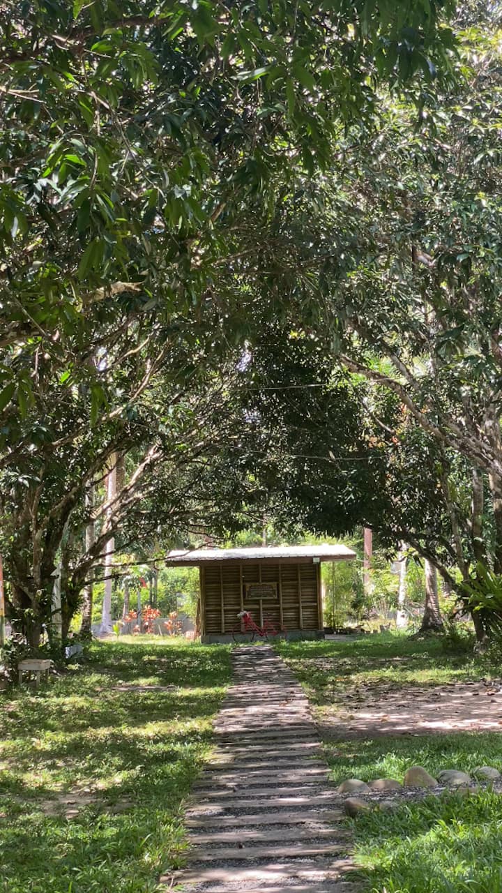 Hidden Grace Farm Resort - Aborlan
