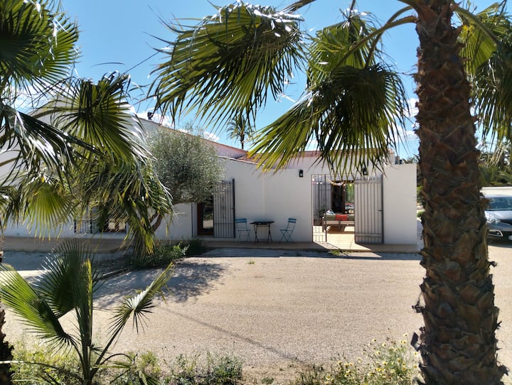 Maison Typique D'elche - Crevillente