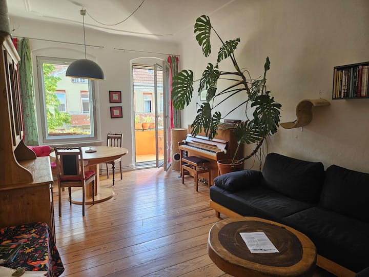 Große Neukölln - Oase Für Katzenfreunde - Kreuzberg