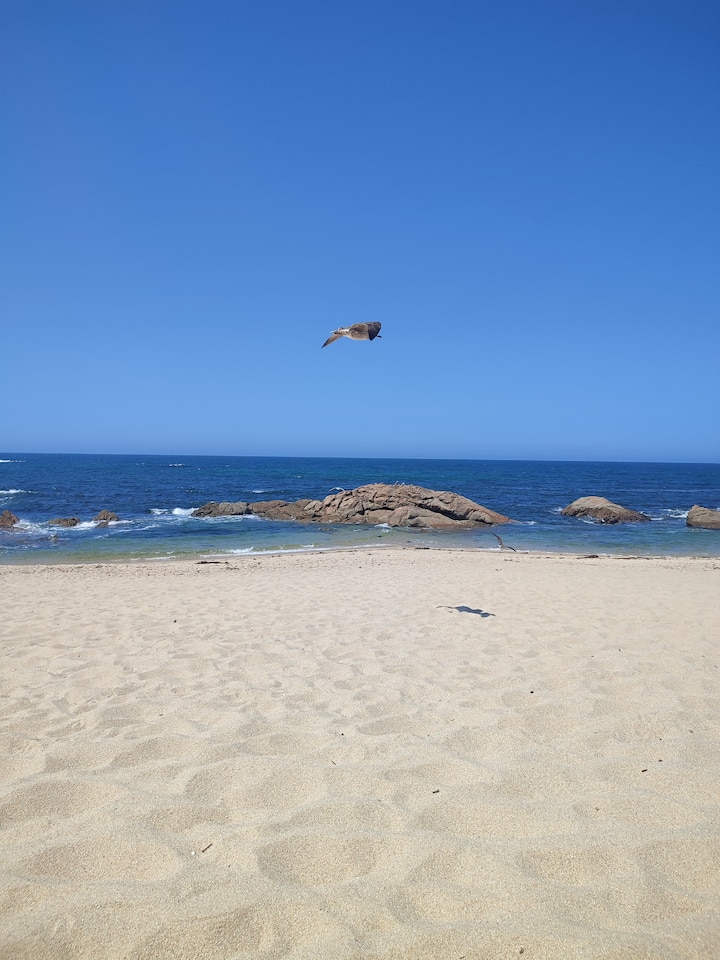 Apartamento A 3 Min Da Praia - Póvoa de Varzim