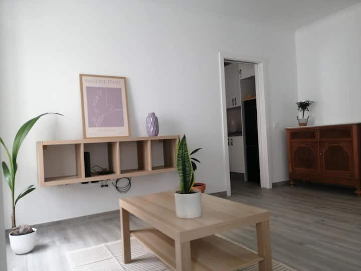 Duplex No Centro De Caldas R. - Caldas da Rainha