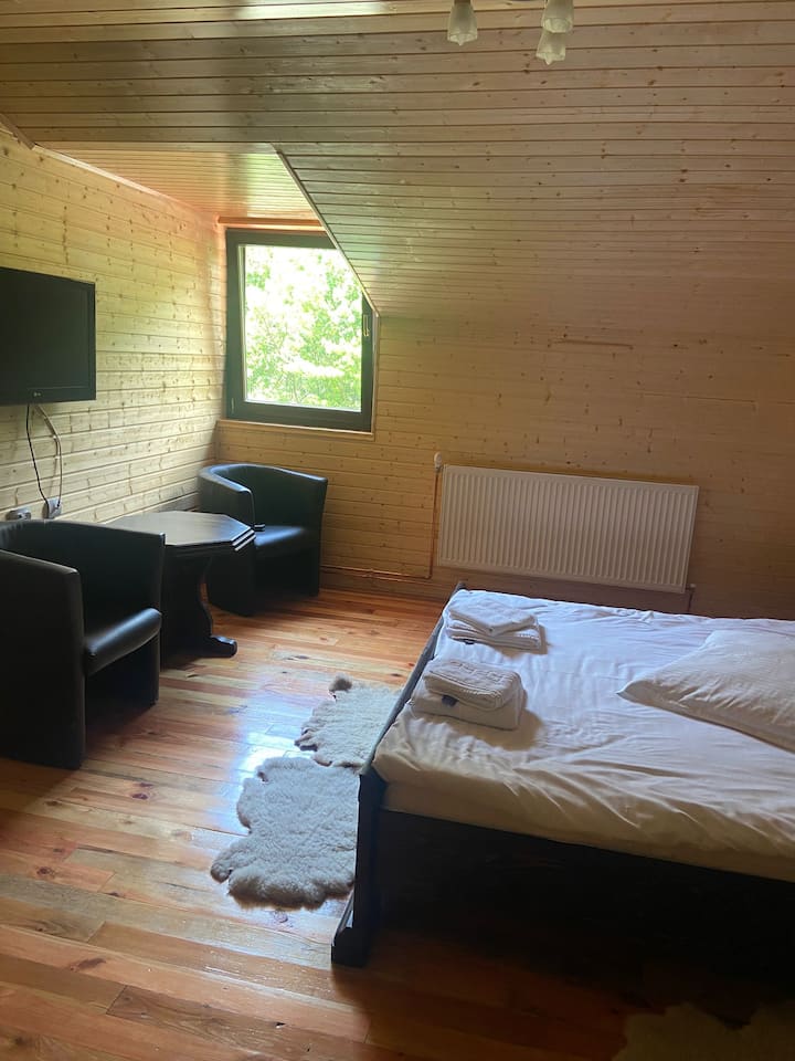 Apartamentul Numarul 9 - Vama Buzăului