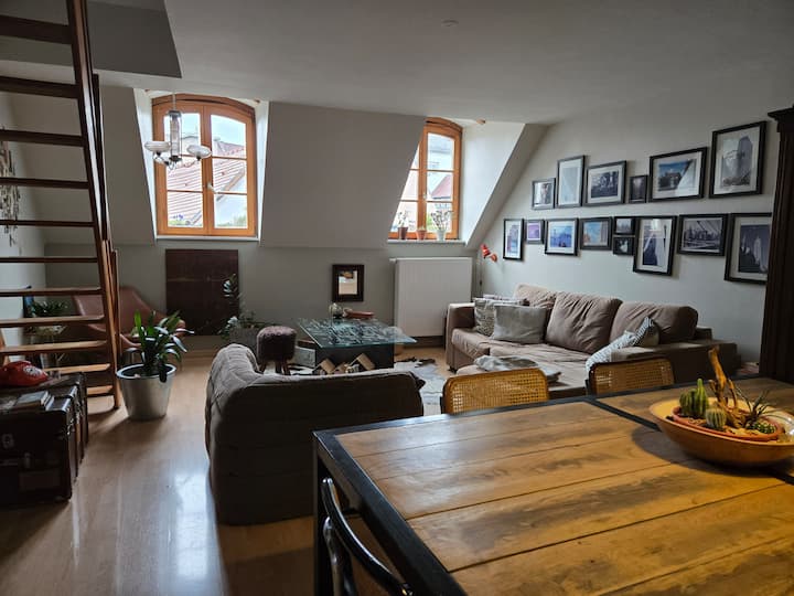 Charmant Duplex En Hyper-centre - Colmar