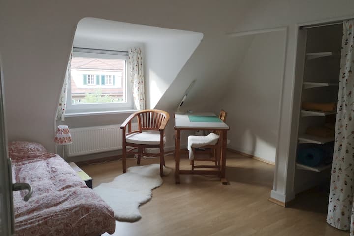Hübsches Zimmer In Zentrumsnähe - Saarbrücken