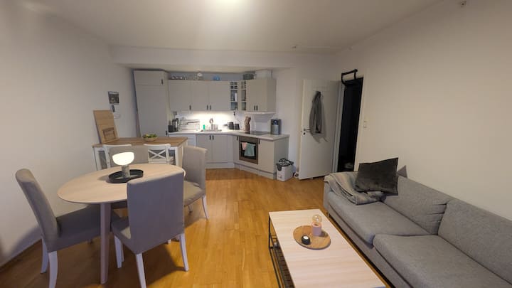 Fin Og Lys 3-roms M Balkong - Oslo