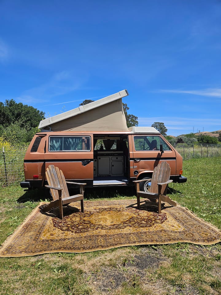 Ginger The Westy - Camp Westfalia Wine Country - Vallejo, CA