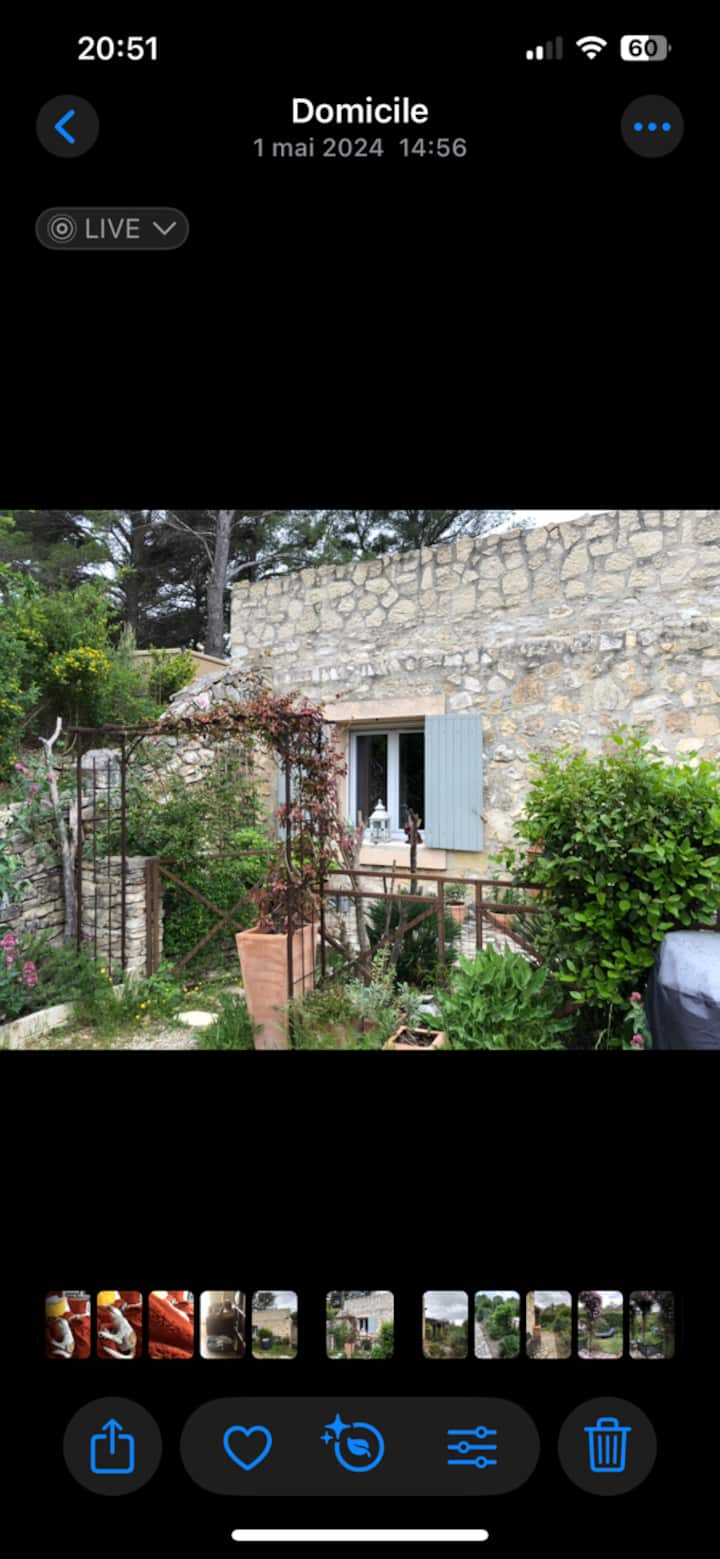Maison Au Milieu Des Oliviers - Éguilles