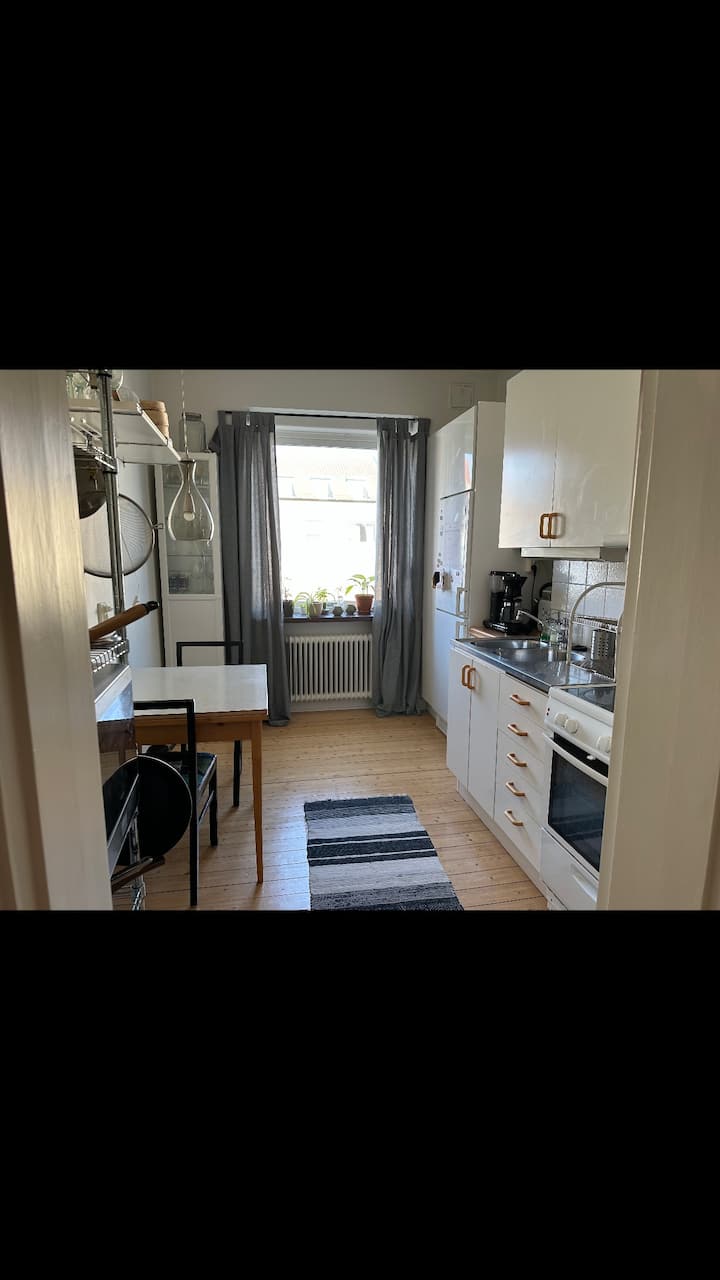 Stor Etta I Södra Centrala Malmö - 말뫼