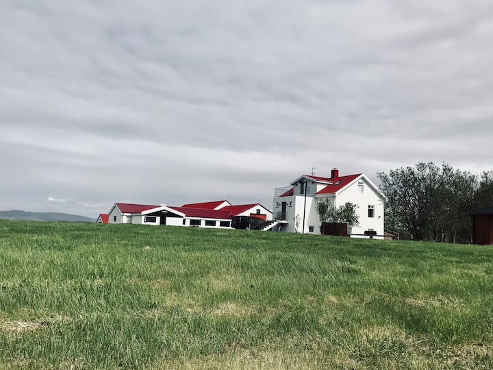 Efra Nes Farm Stay - Islande
