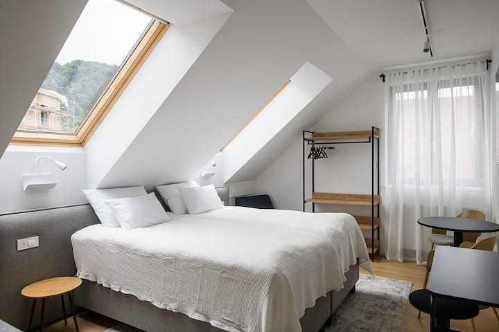 Hiša Barbara Celje - 2.02 Attic Double Room - Celje
