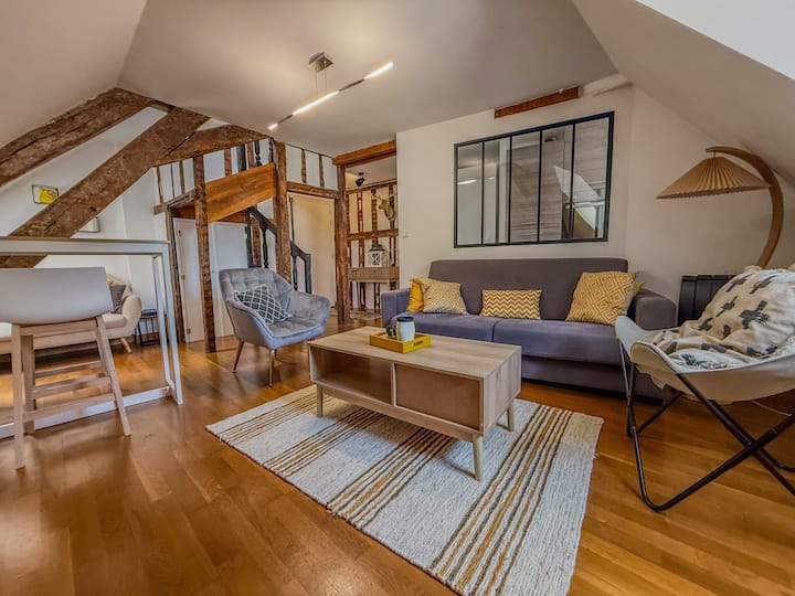 Beau Duplex Typique Et Charmant En Centre-ville - 샤르트르